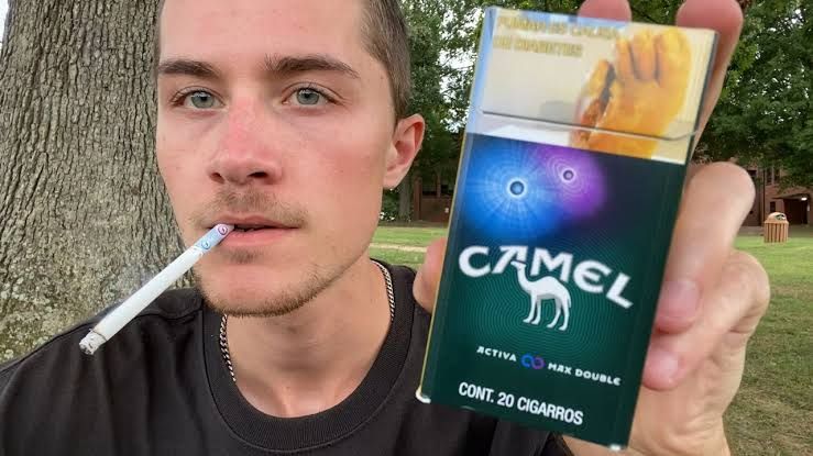 Top 7 de los Cigarros con Sabor Más Ricos en México – Burrito Rosa