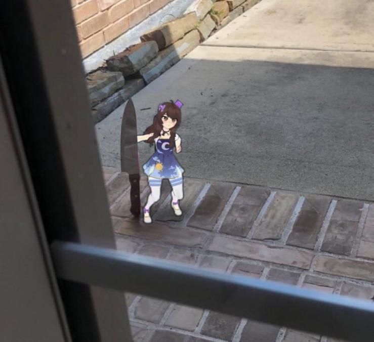 Nimu y su Face Reveal = ¡Éxito! – Burrito Rosa